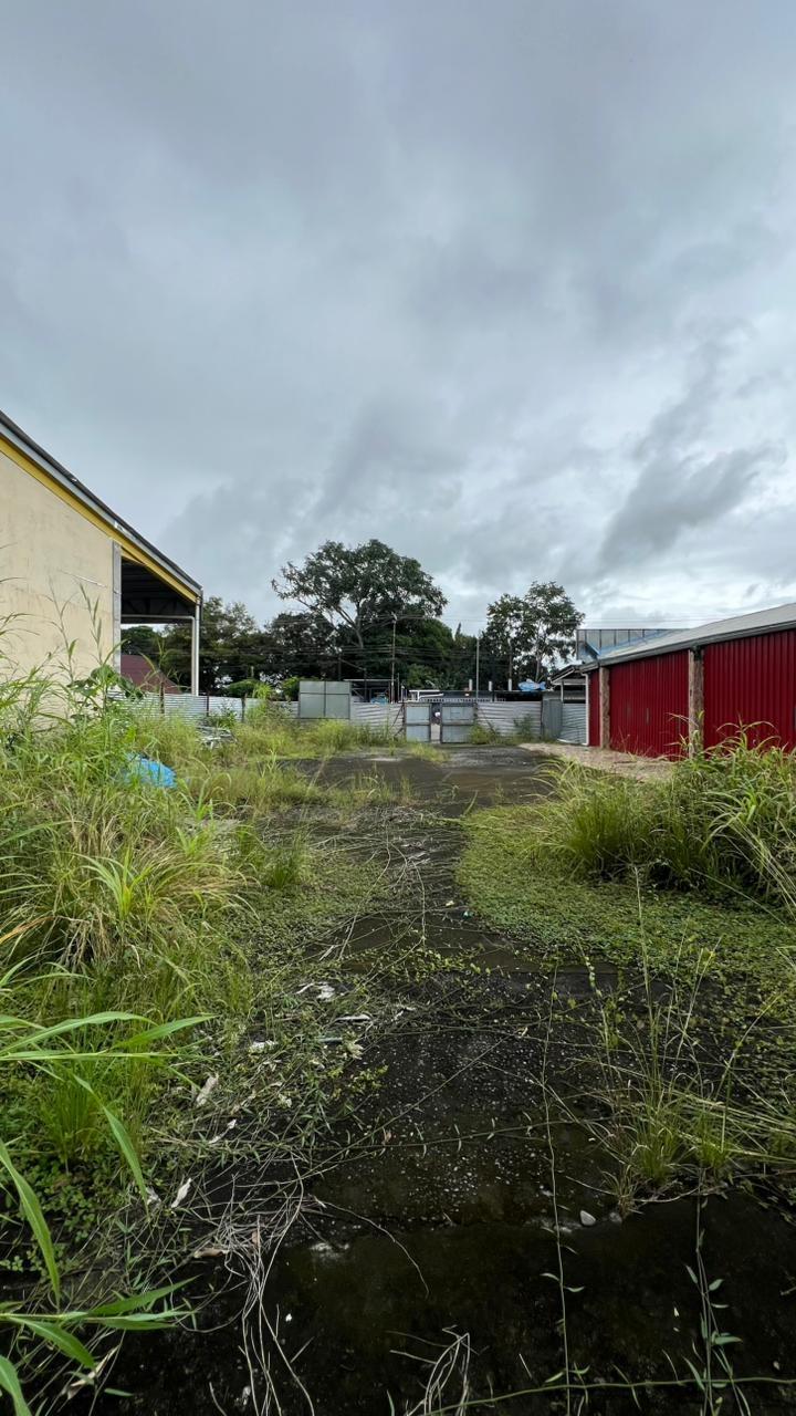 Banco Vende Lote cerca de los terrenos de la feria de David - Grupo ...